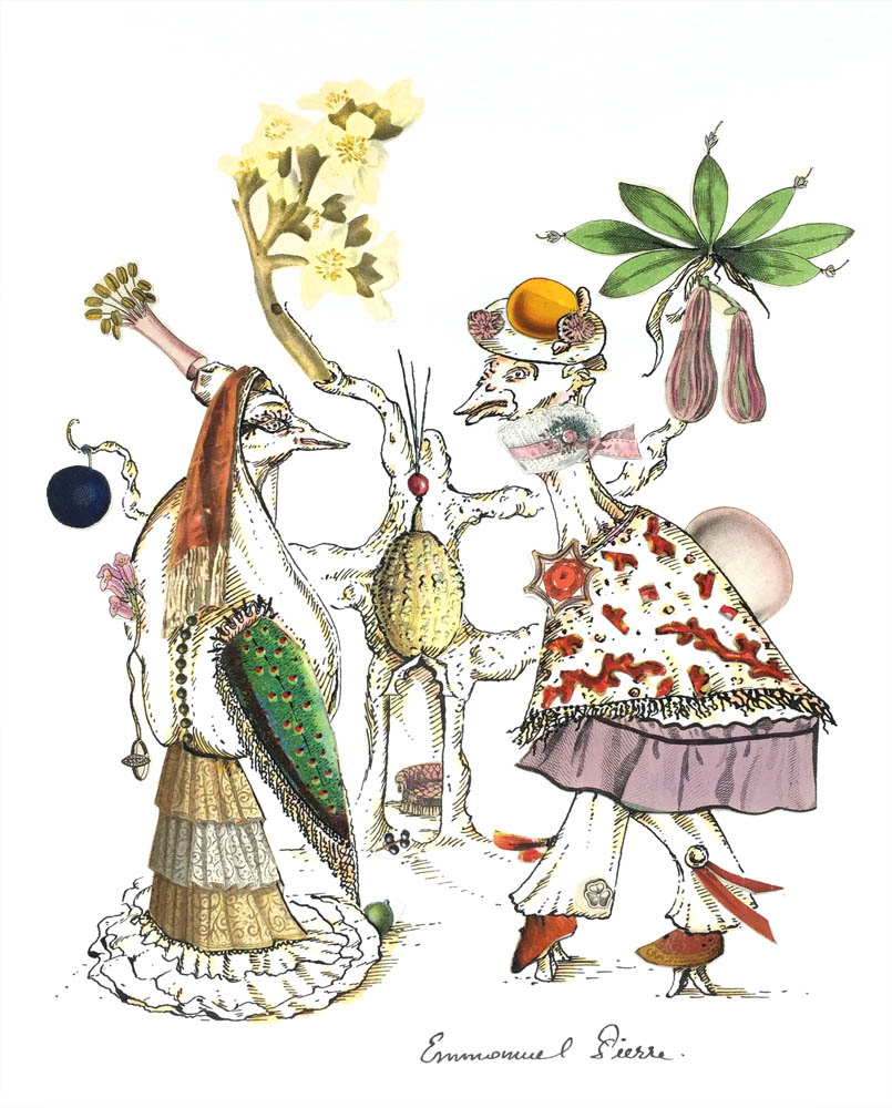 Emmanuel Pierre · Galerie Martine Gossieaux